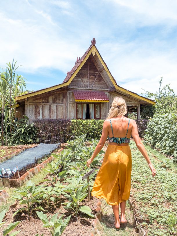 My Little Guide to Bali: Tips I Would Give My Best Friends - Hippie In ...