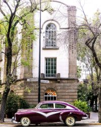 Mexico City Neighborhood Guide: Where to Stay For Your Travel Style ...