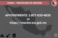 How to Get Your Temporary Resident Visa for Mexico (Step by Step ...