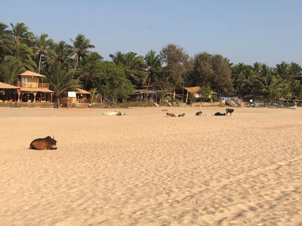 Agonda Beach, Goa: An Essential Travel Guide - Hippie In Heels