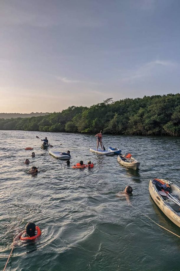 A Guide to Morjim Beach in North Goa - Hippie In Heels