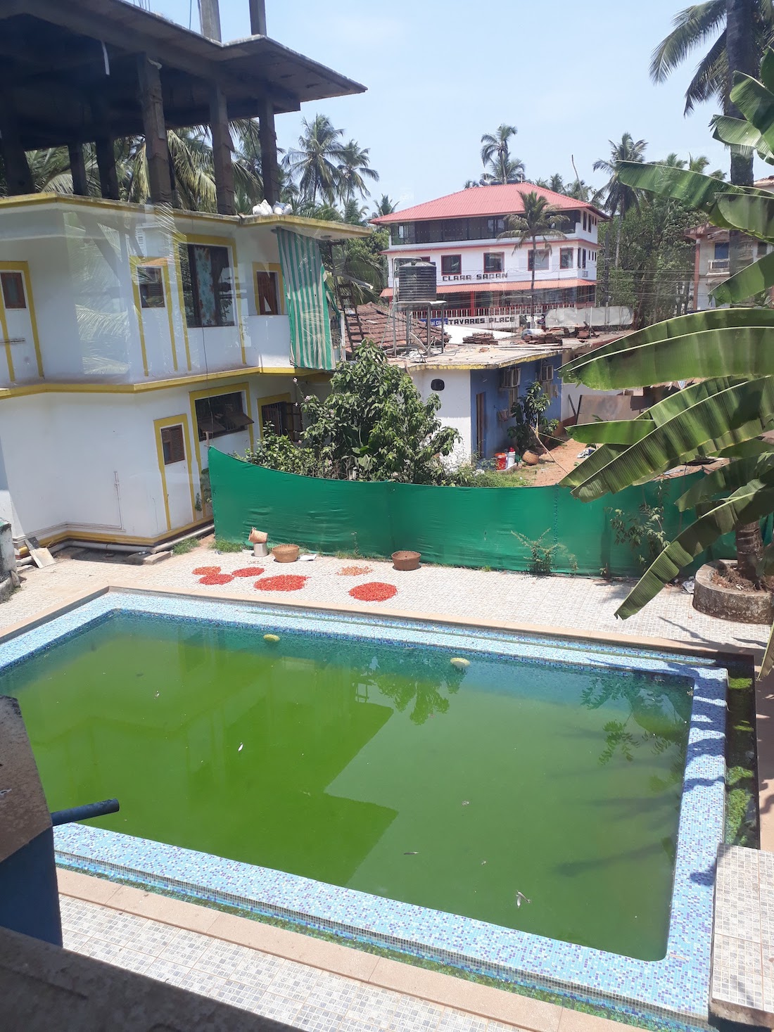 Top 5 Swimming Pools in Goa - Hippie In Heels