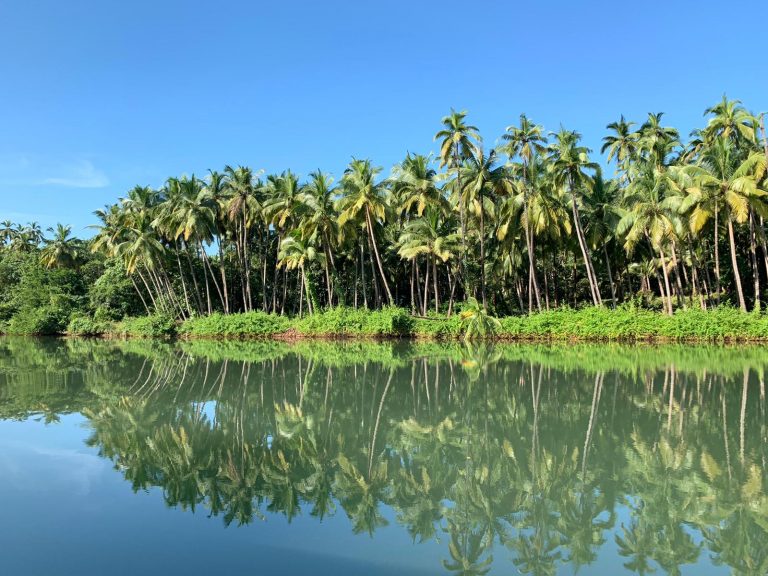 Galgibaga: A Guide to the Most Peaceful Beach in Goa - Hippie In Heels